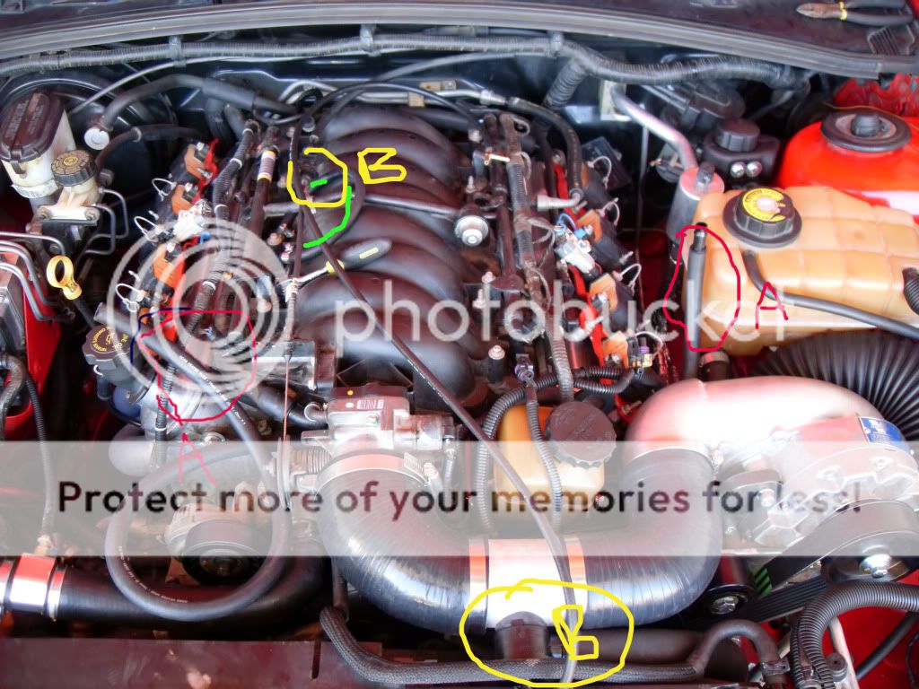 help needed pcv hose's for vortech blower setup | Just Commodores