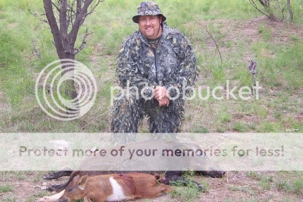 NAP Bloodrunner review (graphic pics) - TexasBowhunter.com Community ...